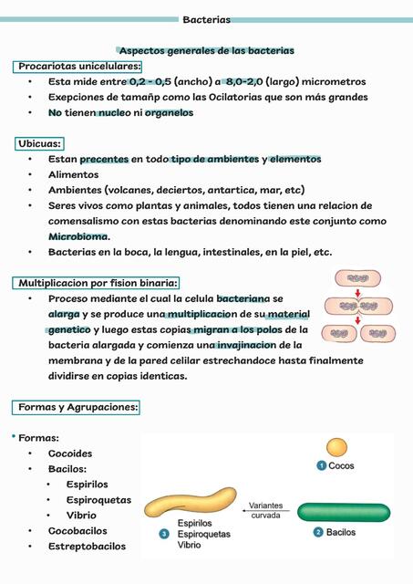 Bacterias General | MATILDE SOFÍA | uDocz