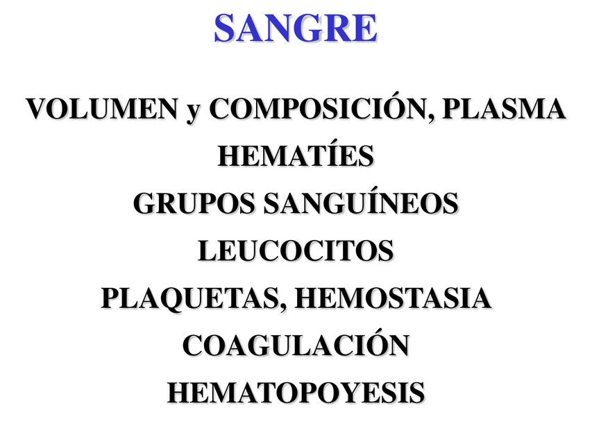 Sangre XP | Rocio Montiel | uDocz