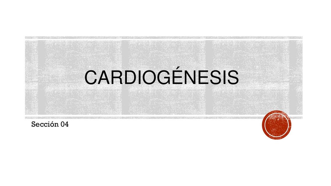 Resúmenes de Cardiogénesis | Descarga apuntes de Cardiogénesis