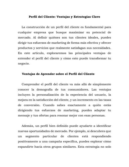Definición y componentes del perfil del cliente | uDocz