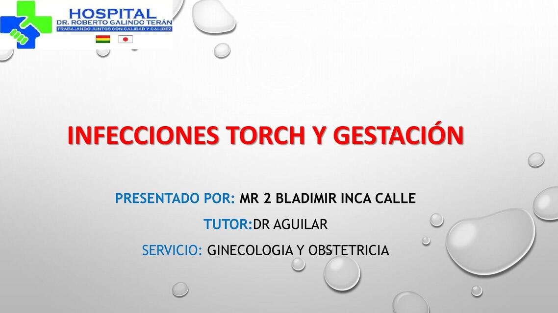 ARTICULO 2023 COMPLEJO TORCH | Bladimir Inca calle | uDocz