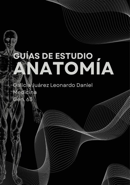 Guia Anato | Leoc | uDocz