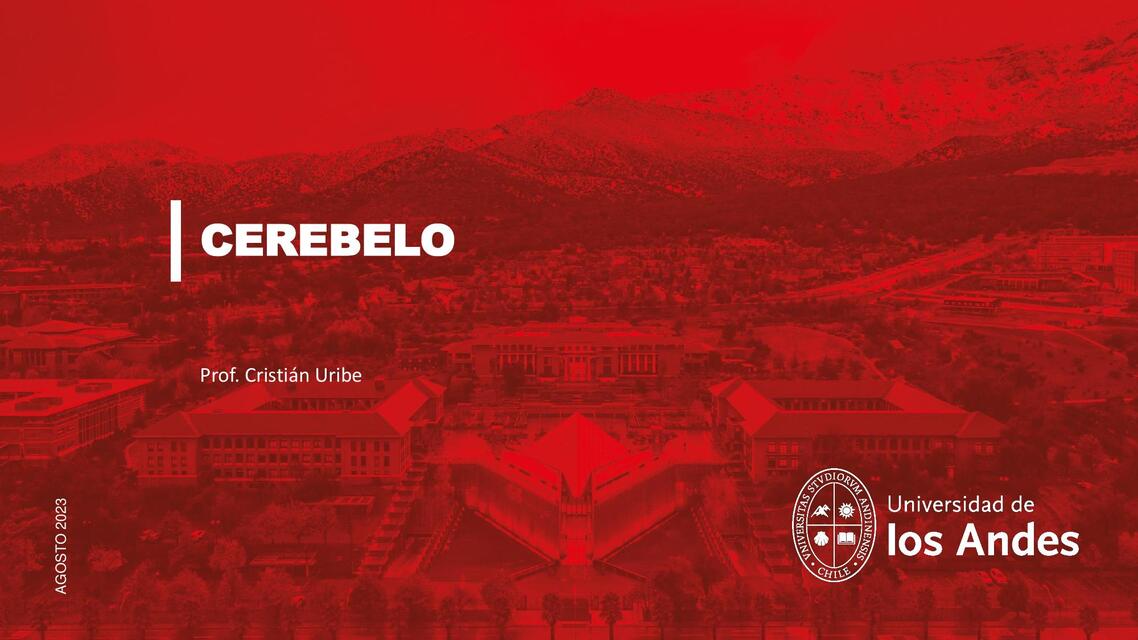 Cerebelo | Cristián Uribe | uDocz