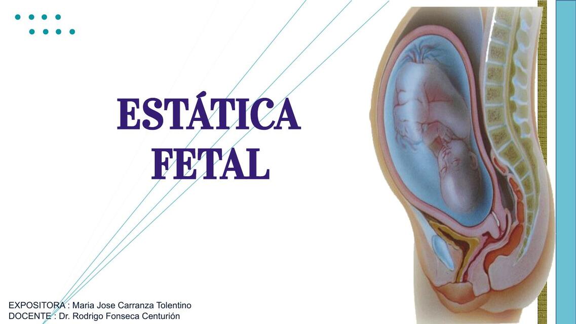 ESTATICA FETAL 1 | maria jose | uDocz