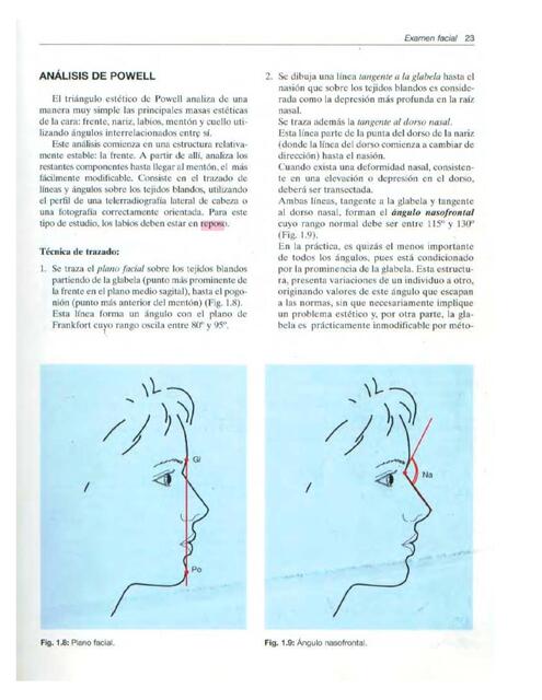 analisis de powell | America | uDocz