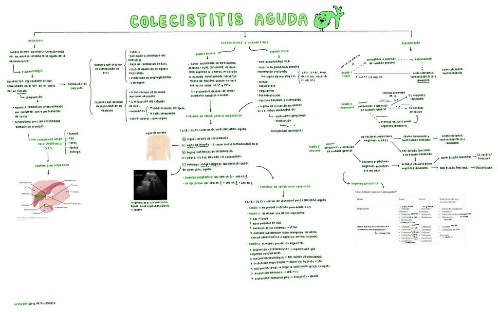 Colecistitis: mapa conceptual | Sofía Vera | uDocz