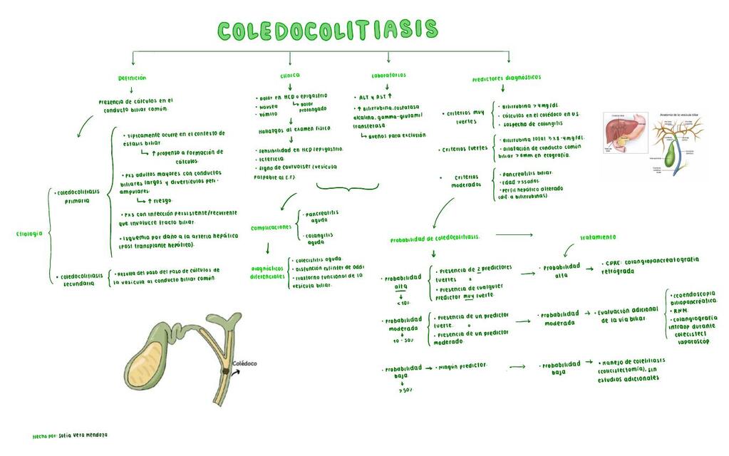 Coledocolitiasis: mapa conceptual | Sofía Vera | uDocz