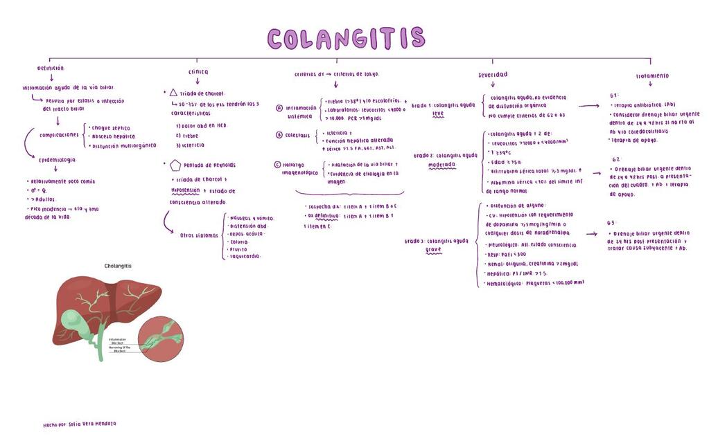 Colangitis: mapa conceptual | Sofía Vera | uDocz
