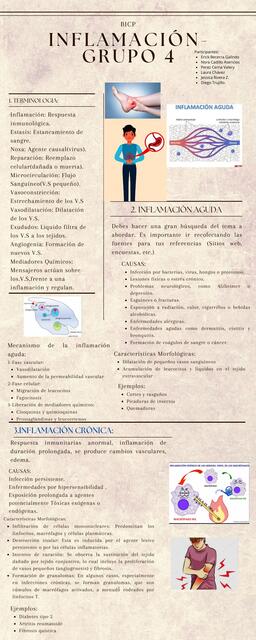 INFOGRAFIA 3 BICP | Geraldine Gómez | uDocz