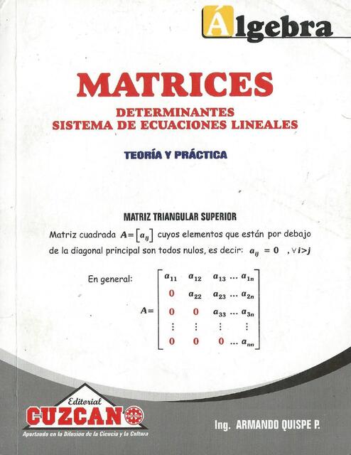Matrices Teoría y Práctica | David Peña | uDocz