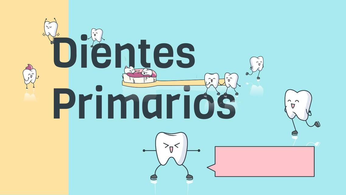 Dientes Primarios | Nicole Valery Orellana Ortega | uDocz