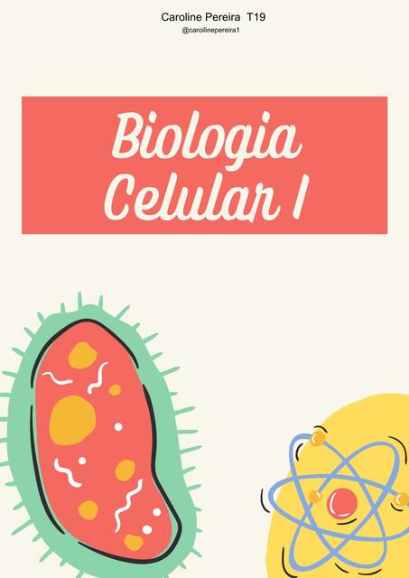 Caderno de Biologia Celular I3 | Isabel | uDocz