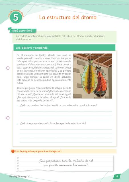 estructura atomo | Maria gabriela | uDocz