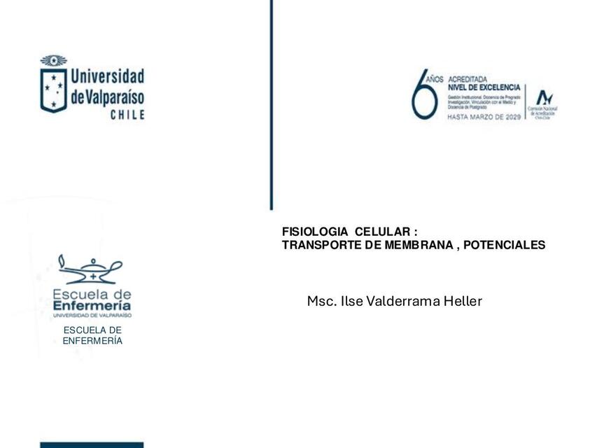 fisio | Tania | uDocz