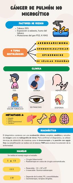 Infografia Cancer de pulmon no microcitico | nilson | uDocz