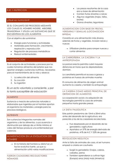 NUTRICION | florencia | uDocz