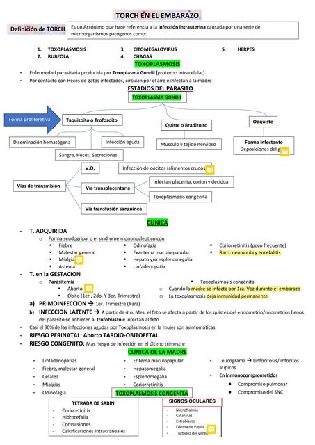 4 TORCH EN EL EMBARAZO | IVVETH NEIVA | uDocz