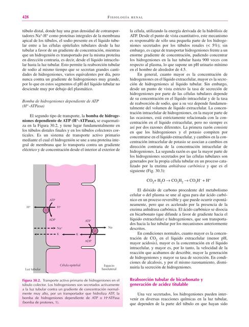 tresguerres cardiovascular | Misael Marín | uDocz