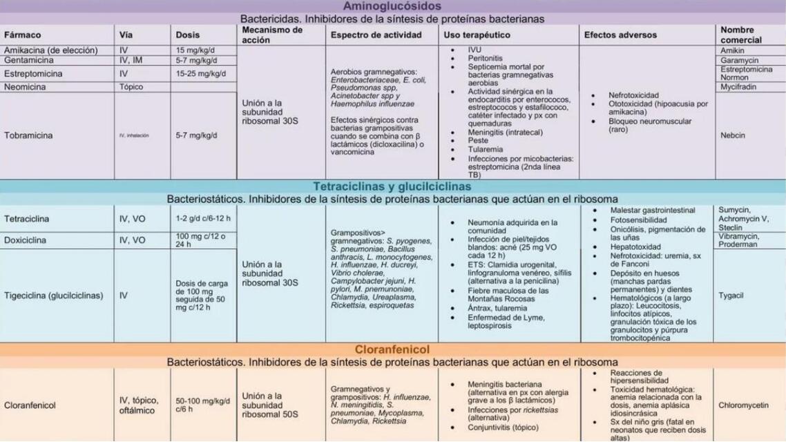 ESPECTRO ANTIBACTERIANO | Ivan Ruyer | uDocz