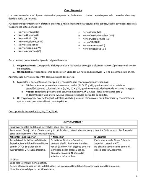 Pares Craneales (I I V VII IX X XI XII) | uDocz
