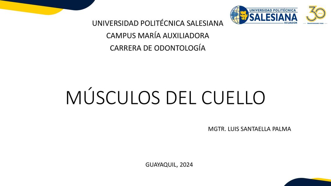 MÚSCULOS DEL CUELLO | Luis Santaella | uDocz