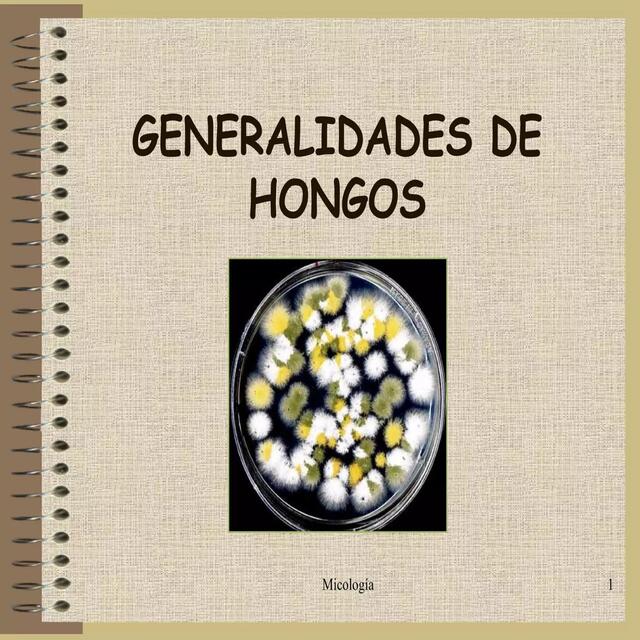 Generalidades de hongos | Warapo | uDocz