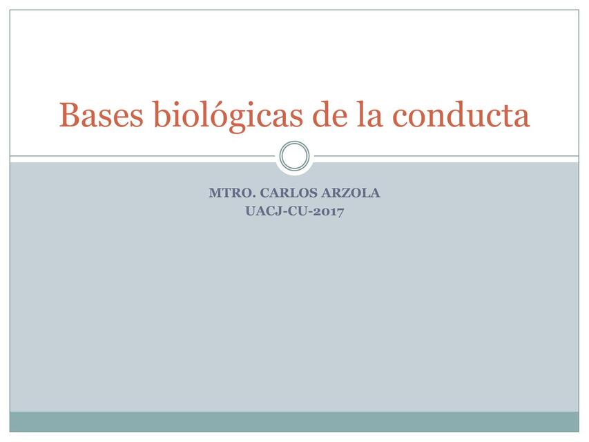 BBDC Clase VI | Mallely | uDocz