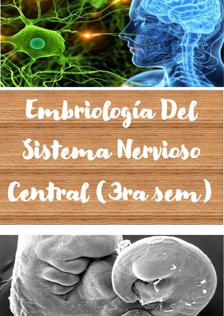 Embriología Del SNC 3ra Semana | Dr. Castro | uDocz