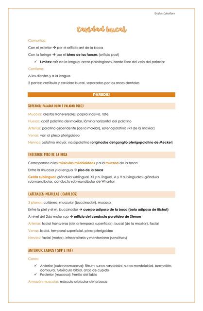 Cap 103 cav bucal | ady | uDocz