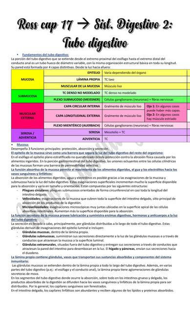 Ross cap 17 | ady | uDocz