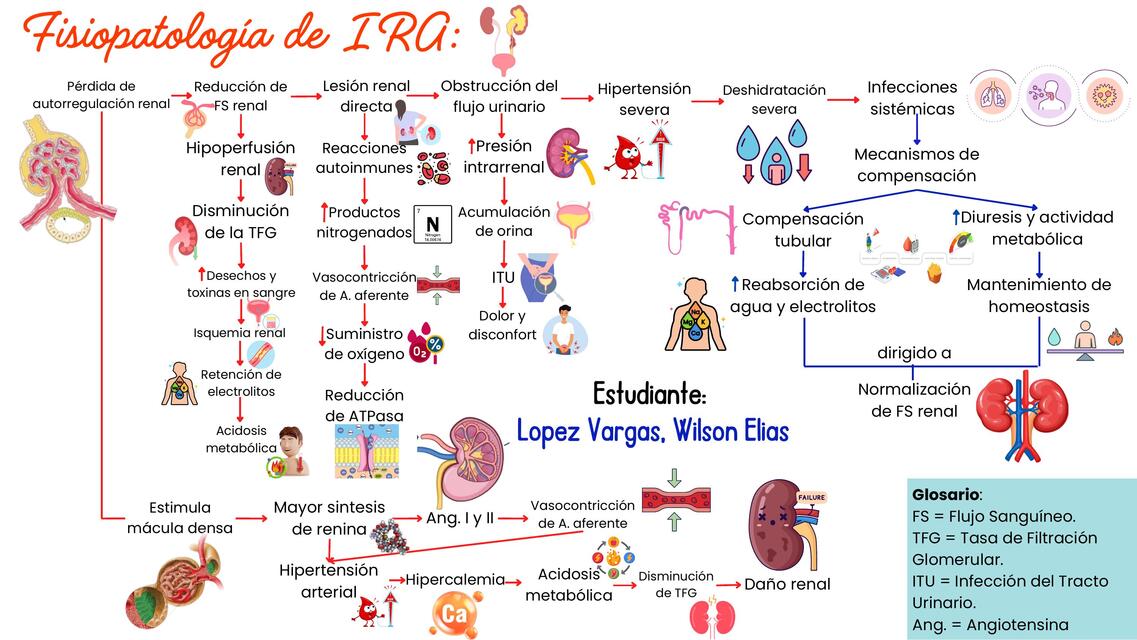 Fisiopatología de Insuficiencia Renal Aguda | WILSON ELIAS LOPEZ VARGAS | uDocz