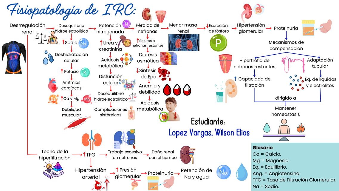 Fisiopatología de Insuficiencia Renal Crónica | WILSON ELIAS LOPEZ VARGAS | uDocz