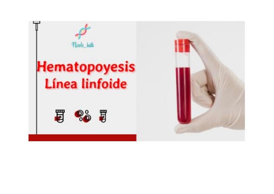 Hematopoyesis Línea Linfoide | Katherine Méndez | uDocz