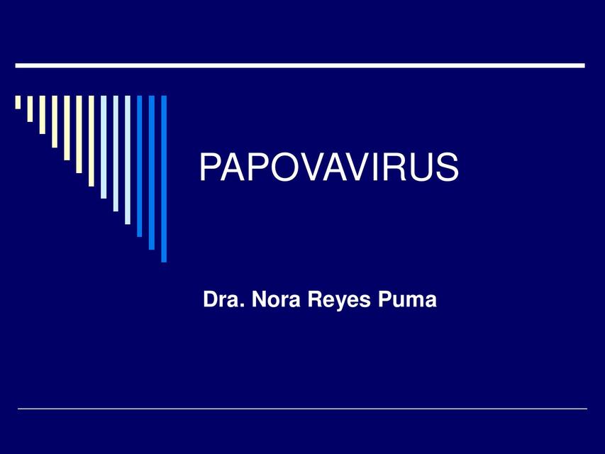 Papovavirus | Ahmed Casana | uDocz