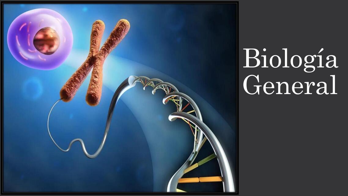 Unidad 1 Subcapítulos 1 1 y 1 2 1 | Historia | uDocz