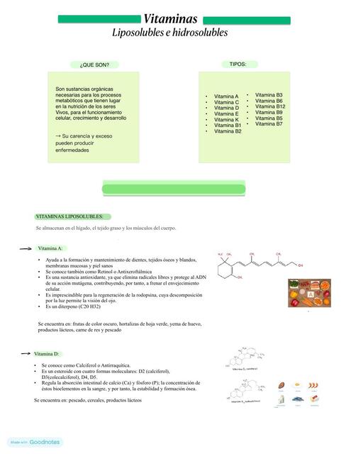 Bioca Fisio | Alejandra | uDocz