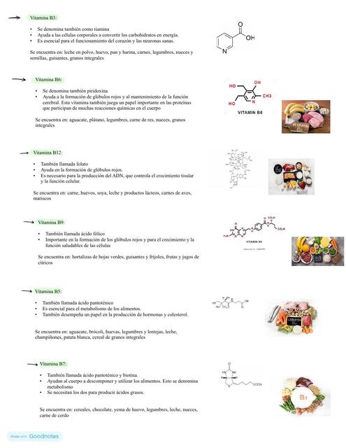 Bioca Fisio 3 | Alejandra | uDocz
