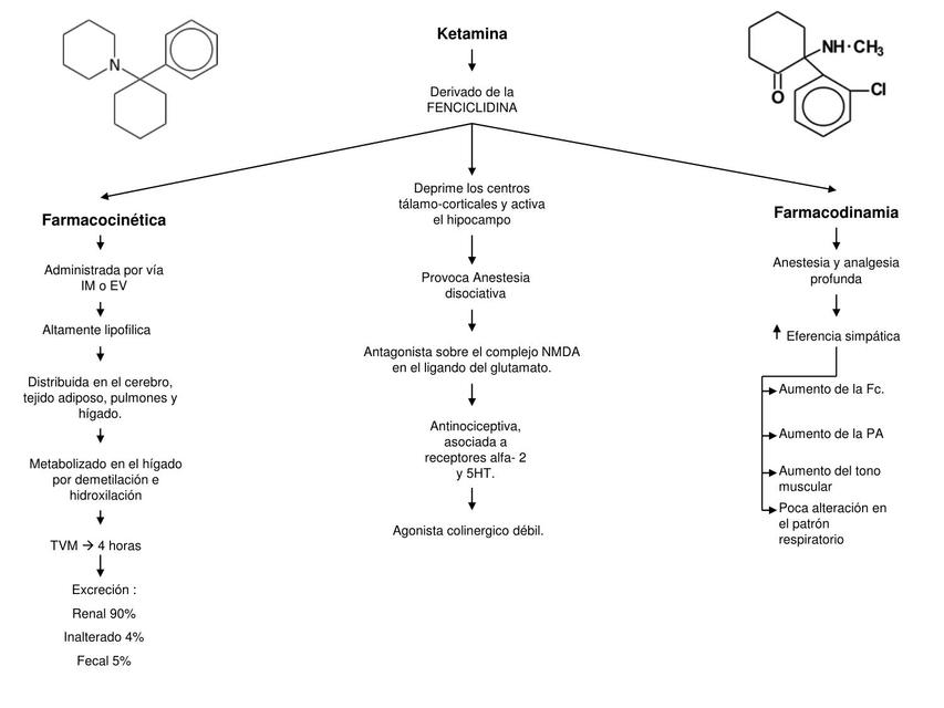 Ketamina | Ahmed Casana | uDocz