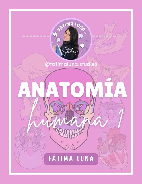 Anatomía Humana I | Fátima Luna | uDocz