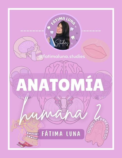 Anatomía Humana II | Fátima Luna | uDocz