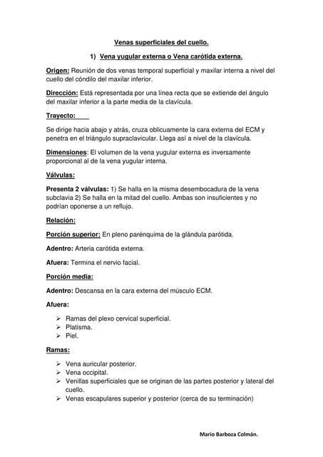 Venas superficiales del cuello | SBA | uDocz