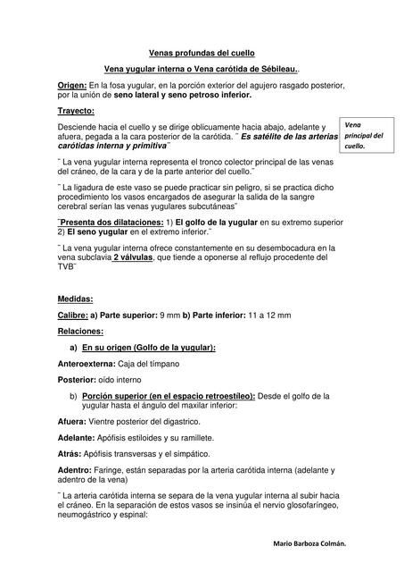 Vena yugular interna | SBA | uDocz