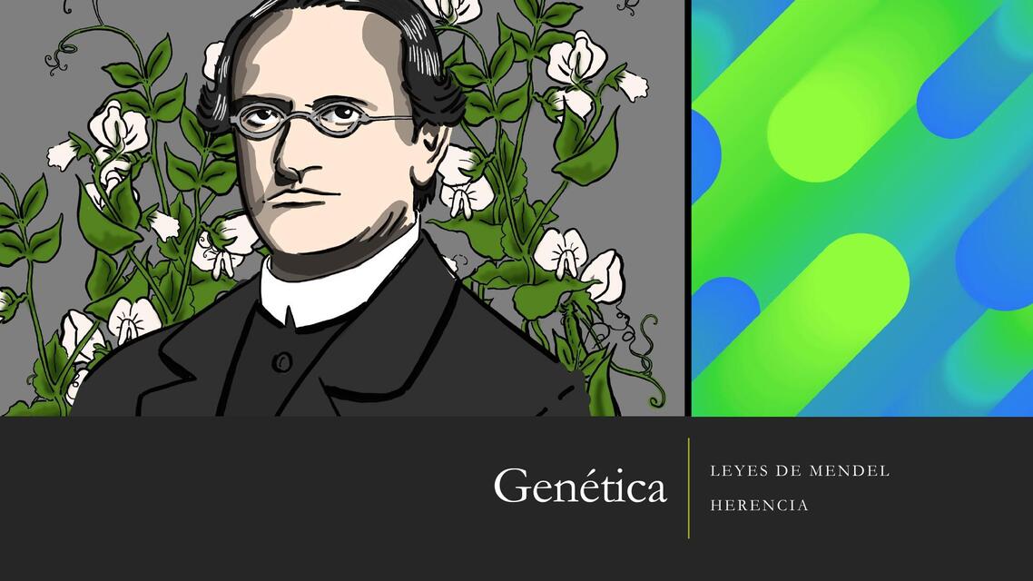Leyes de Mendel | Arely Luna | uDocz