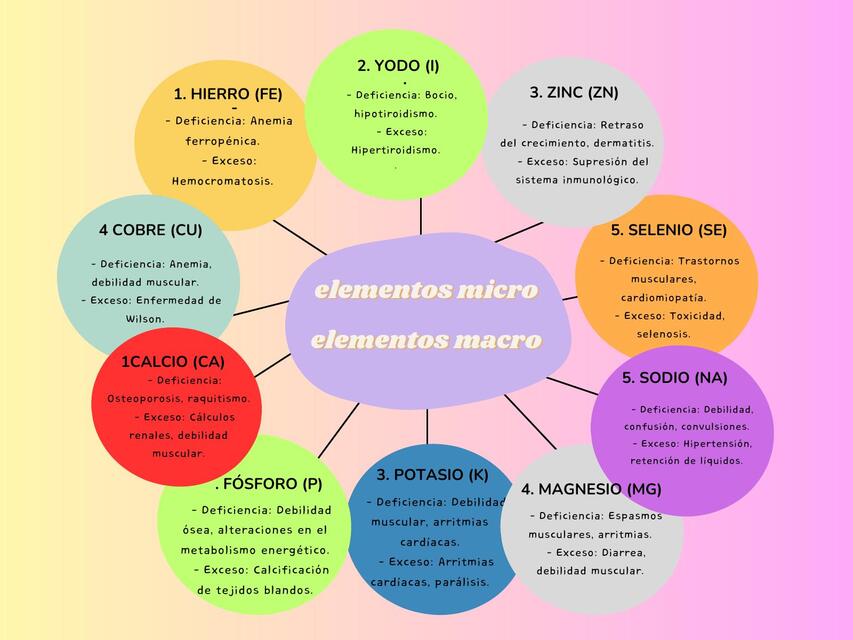mapa micro y macro nutrientes | ASHLY DOMINELY | uDocz
