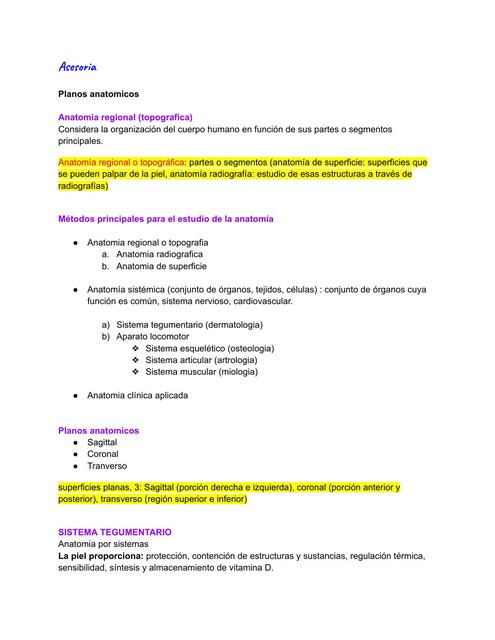 Guia final de anatomia | Jaqueline | uDocz
