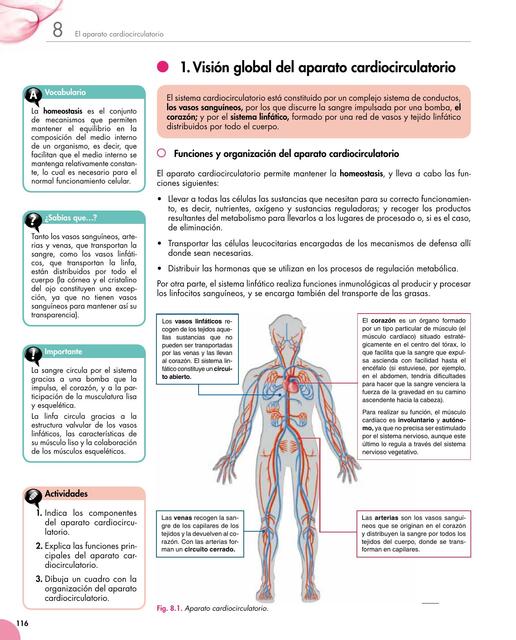 Cardio Alejandro Isaías Udocz