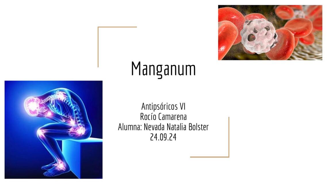 MANGANUM METAllicum | Nevada | uDocz
