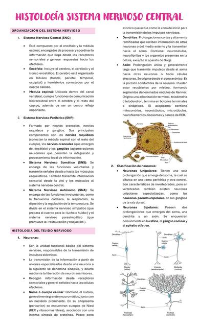 Morfo S3 | Lucia perelli | uDocz