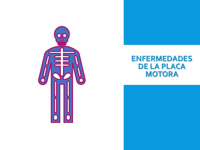 Enfermedades de la Placa Motora