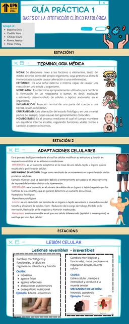 INFOGRAFIA 1 BICP | Geraldine Gómez | uDocz